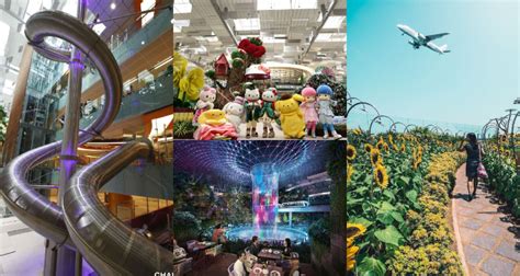 Дэлхийн шилдэг онгоцны буудал ямар харагддаг вэ