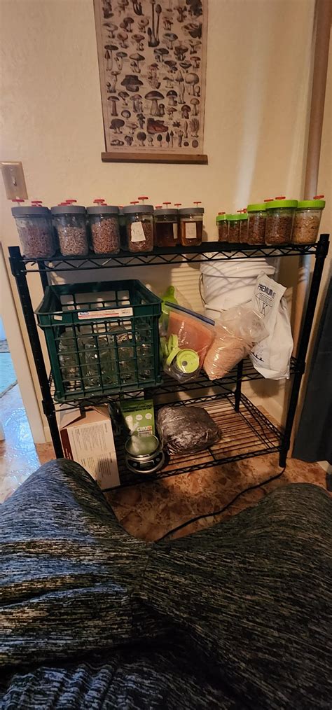 Mycology Lab Setup R Mushroom Cultivation