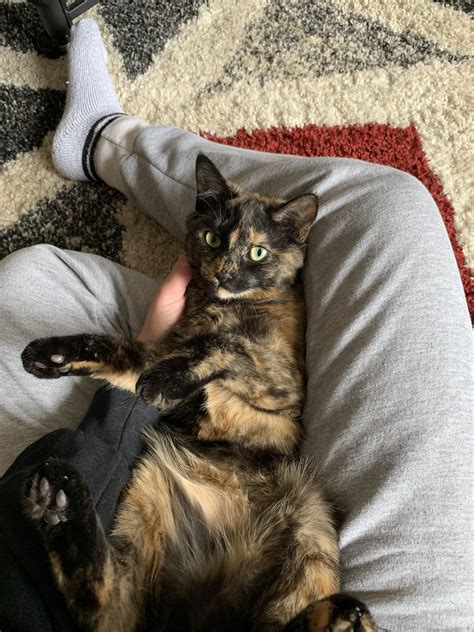 Tiny Girl Tiny Beans Rjellybeantoes