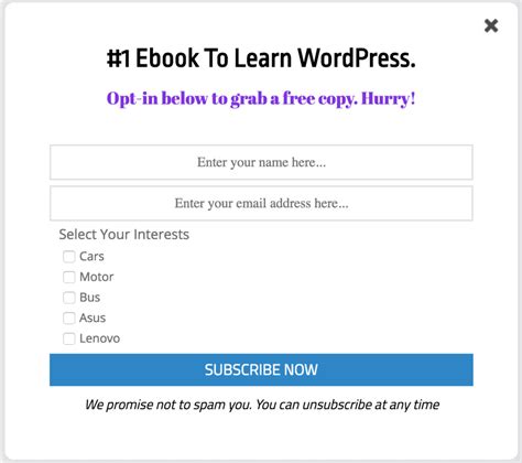 How To Segment Wordpress Leads Into Mailchimp Groups Mailoptin
