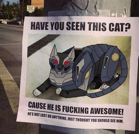 Pin By Im Really Tired Zzz On Transformers Transformers Memes Transformers Comic
