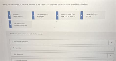 Match The Major Types Of Bacterial Plasmids To The