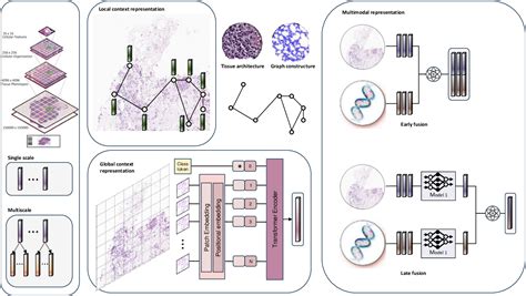 figure 2 from advances in multiple instance learning for whole slide