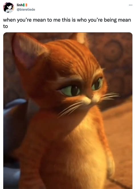 This Is Who Youre Being Mean To Image Gallery Know Your Meme