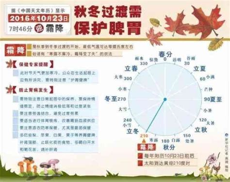 從秋走向冬草木黃落需保護脾胃 每日頭條