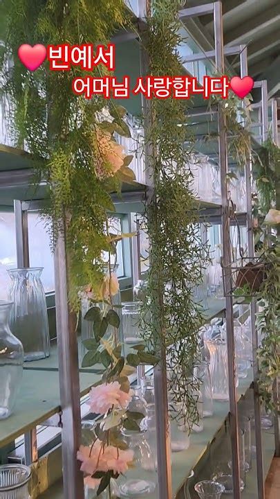 ♥️ 빈예서 ️어머님 사랑합니다 트롯869 The트롯show🤍 예서 꺽기요정빈예서 감성천재예서 트롯 트로트 에레지공주님 미스트롯3 Youtube