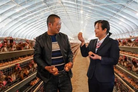 柘城农商银行荣获“服务地方经济发展工作先进单位”金融县域县政府
