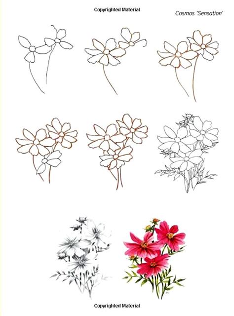 Dibujo De Flores A Lapiz Paso A Paso