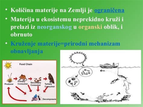 Кружење материја и протицање енергије кроз односе исхране ДД школа онлајн