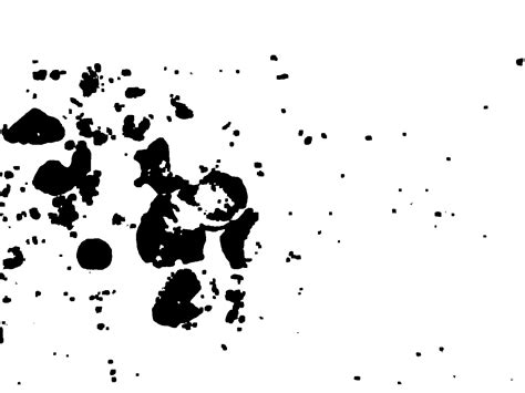 Image Connecting Neighbouring Pixelsnucleus Segmentation Stack Overflow