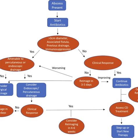 Algorithm For The Evaluation And Management Of Intraabdominal Abscesses