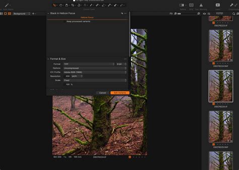 Fujifilm Gfx Focus Bracketing Is Not Just For Close Ups Capture Integration