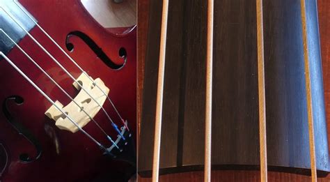 Les 5 Meilleures Cordes Pour Contrebasse Tous Styles And Budgets