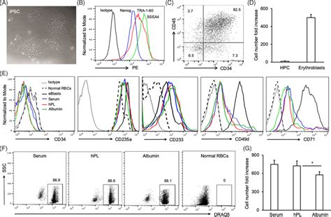 Generation Of Human Induced Pluripotent Stem Cells Ipsc‐derived