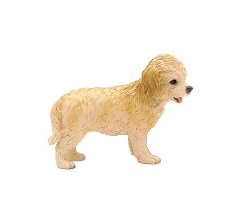 Cockapoo Blonde Forever Pets Inc
