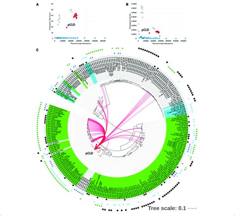 Bont Conjugative Plasmids Targeted By Crispr Cas Systems In G1 C Download Scientific