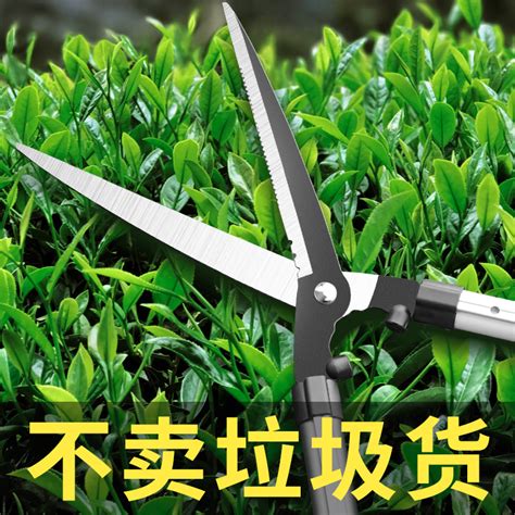 剪刀修枝剪绿化修剪树枝修花剪花专用花卉花枝花草园艺大剪刀园林虎窝淘