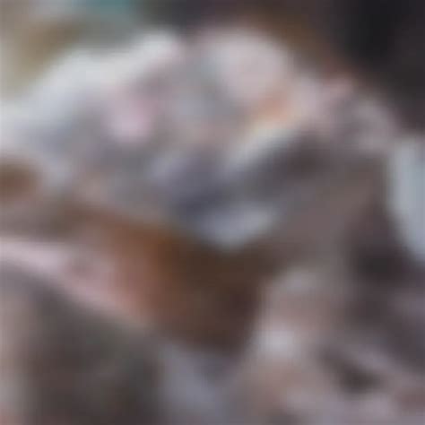 Understanding Pfas Chemicals In Drinking Water