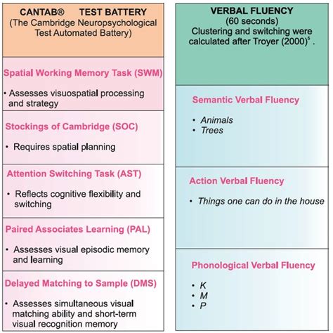 Correlations Between Spatial Working Memory Swm And Verbal Fluency Download Scientific Diagram