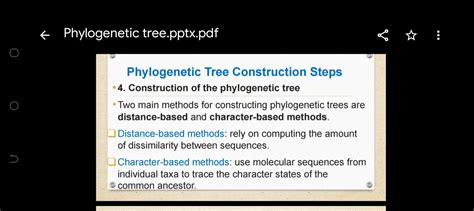 Phylogenetic Tree Construction Steps 4 Construction Of The Phylogenetic