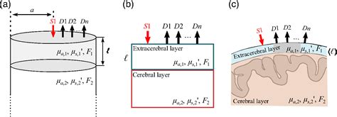 Optimizing A Two Layer Method For Hybrid Diffuse Correlation Spectroscopy And Frequency Domain