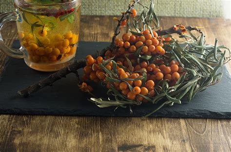 바다 갈 매 나무속 나무와 바다 갈 매 나무속에서 음료 슬레이트 보드 스탠드 0명에 대한 스톡 사진 및 기타 이미지 0명