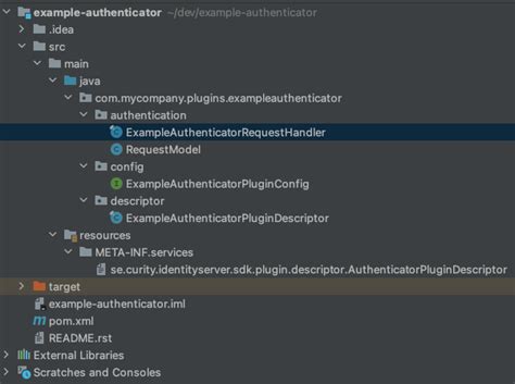 How To Customize Oauth Using Plugins Curity
