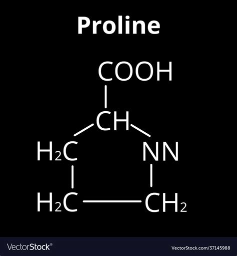 Amino Acid Formula Compound Interest What Makes Up The Chemical