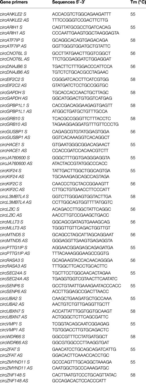 Primer Sequence And Annealing Temperature For CircRNAs Download Scientific Diagram