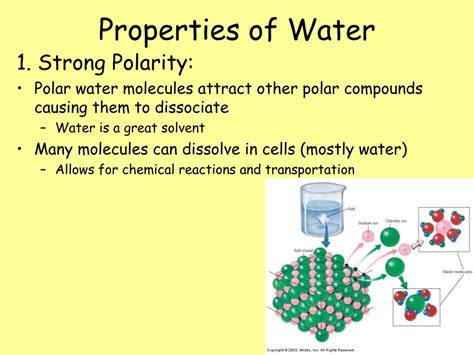Ppt Chemical Basis Of Life Powerpoint Presentation Free Download