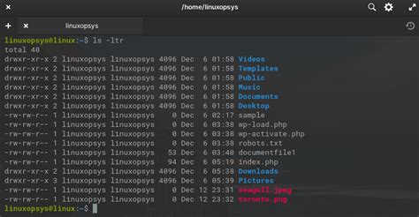 Linux Ls Command List Files And Directories