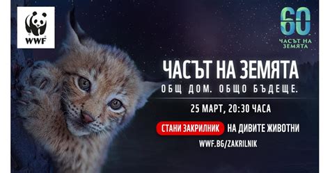 Община Свищов гаси светлините на знакови сгради в Часът на Земята