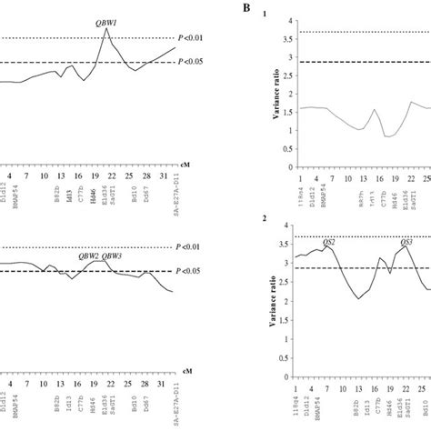 Quantitative Trait Loci For Sex And Growth A Mapping Of Qtl For Body