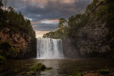 All Of Dorrigo National Park Walks Ranked — Walk My World
