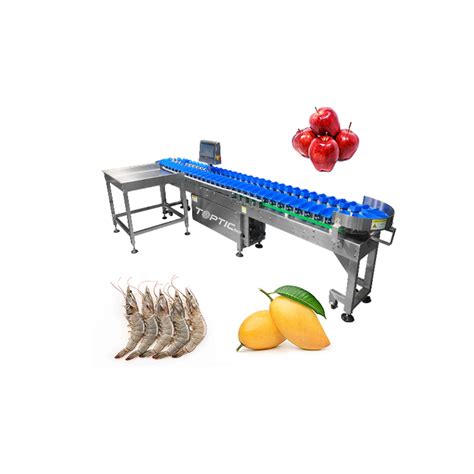 Weight Sorting Machine Grading Machine Weight Grader Sorter Sorting
