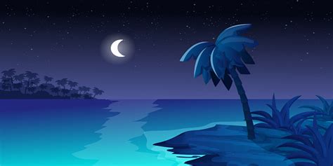 열대 섬 밤의 바다 장면 달과 별 모래와 야자수 만화 스타일의 야외 아름다운 장면 벡터 그림 0명에 대한 스톡 벡터 아트 및 기타 이미지 Istock