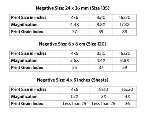 Kodak Portra 400 Film Review “worlds Finest Grain At 400 Speed”