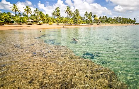 Tudo Sobre O Município De Maraú Estado Da Bahia Cidades Do Meu Brasil