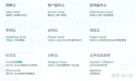 Salesforce水土不服？国产crm谁能成为最佳替代 知乎