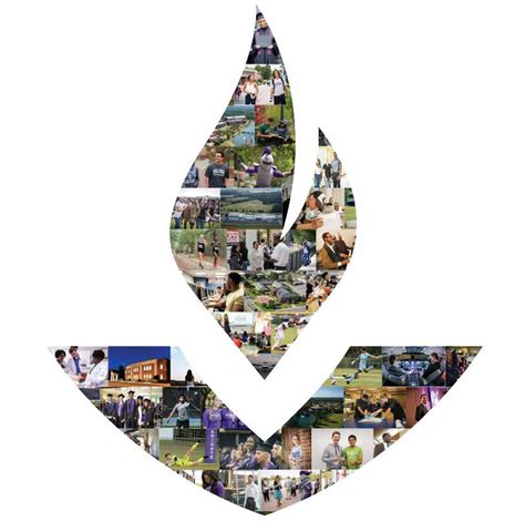 Application Steps: Middle Georgia State University