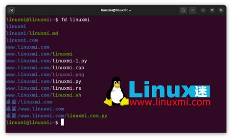 fd Linux 上非常快速查找文件的命令 Linux迷