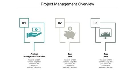Project Management Overview Ppt Powerpoint Presentation Ideas Layouts Cpb