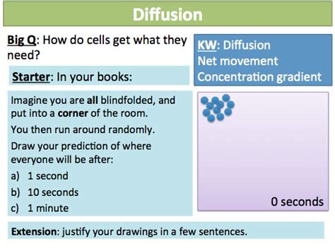 NEW AQA GCSE Cells 11 Diffusion Theory Teaching Resources