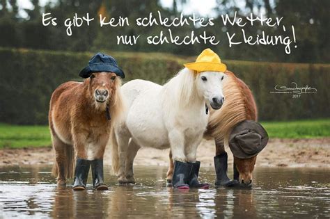 Lustiges Bild Mit Spruch