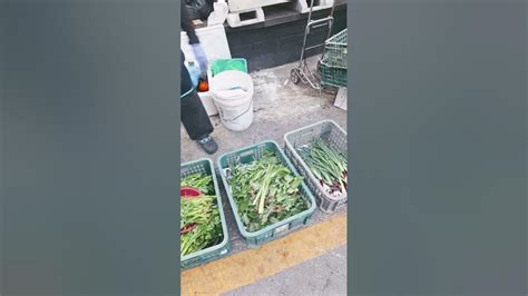 파 하하하 875원 Youtube