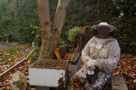 Unreleased Bush Bee Man Photo Rthebushbeeman