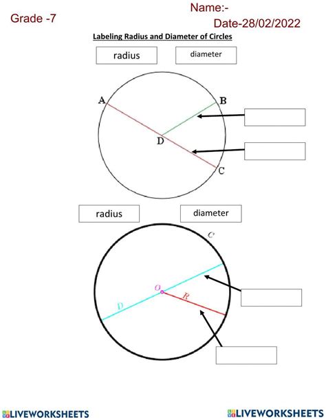 6841765 Radius And Diameter Naz1729 Liveworksheets