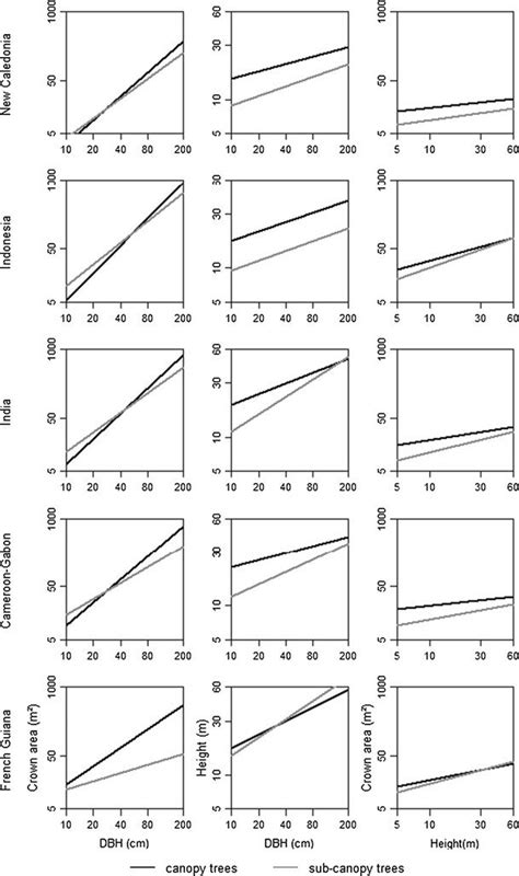 Allometric Relationships Loglog Linear Regressions Of Stem Diameter