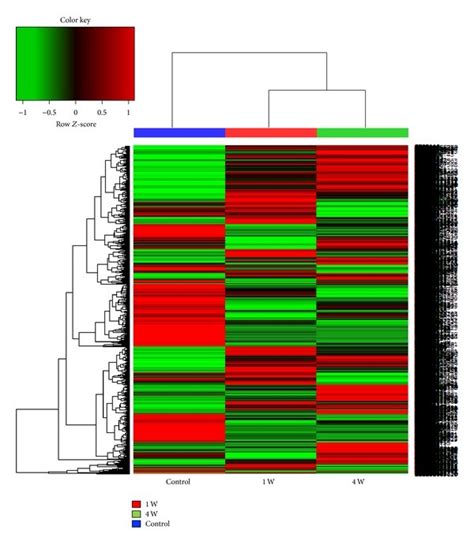 Heatmap Of The Samples The Red Lines Represent Upregulated Genes And Download Scientific