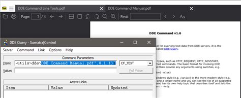 Vba Send Dde Command To Pdf Document In Sumatra Pdf On Subform Stack Overflow